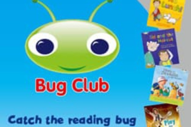 Reading levels – Numbers and colours and bands, oh my!